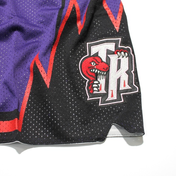 Shorts | Nba Toronto Raptors Throwback Logo Shorts | Poshmark